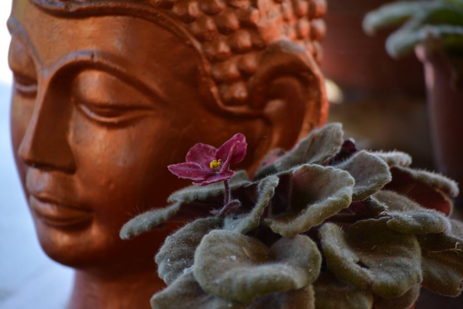 Nine Steps for Putting the Violet Flame into Action in Your Life ...